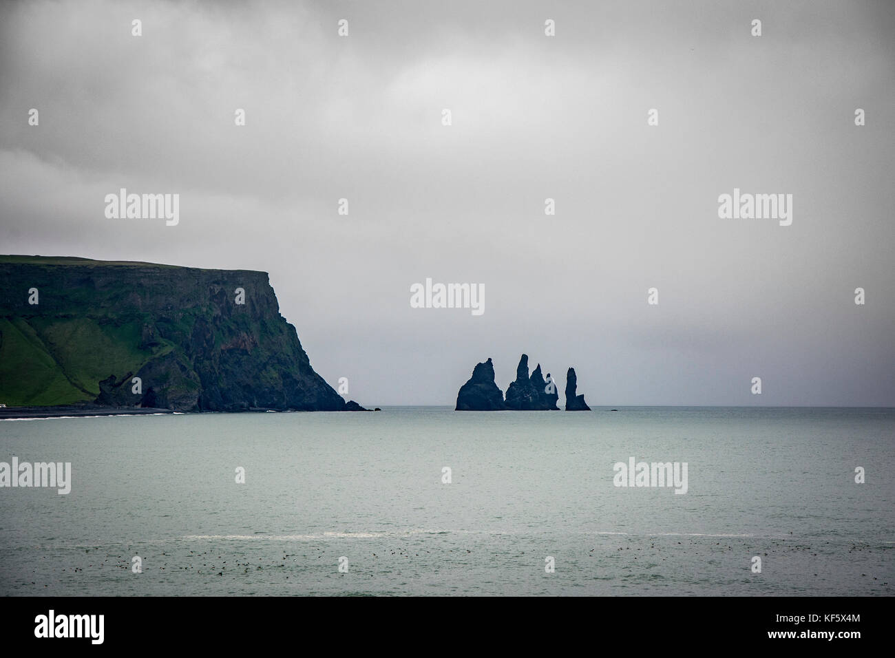 Basalt rock formations popularly known as Troll toes in Reynisdrangar ...