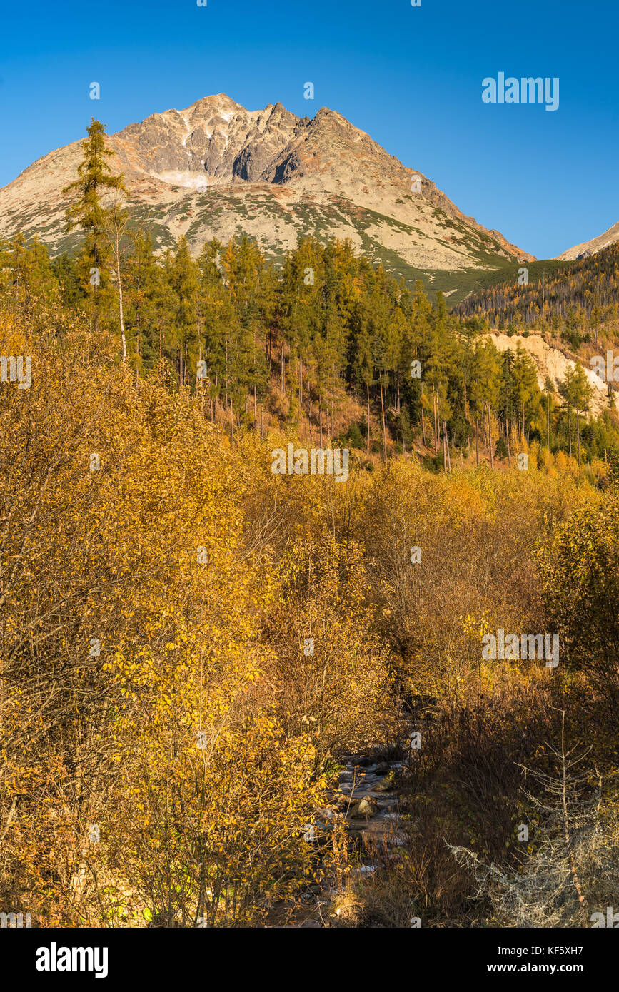 Autumn foliage in forest and high Tatra mountains peaks, Slovakia and ...