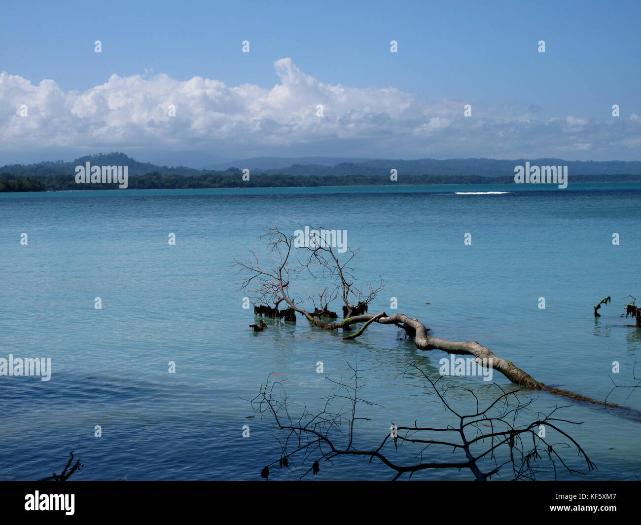beautiful view on quite sea in Costa Rica Stock Photo - Alamy