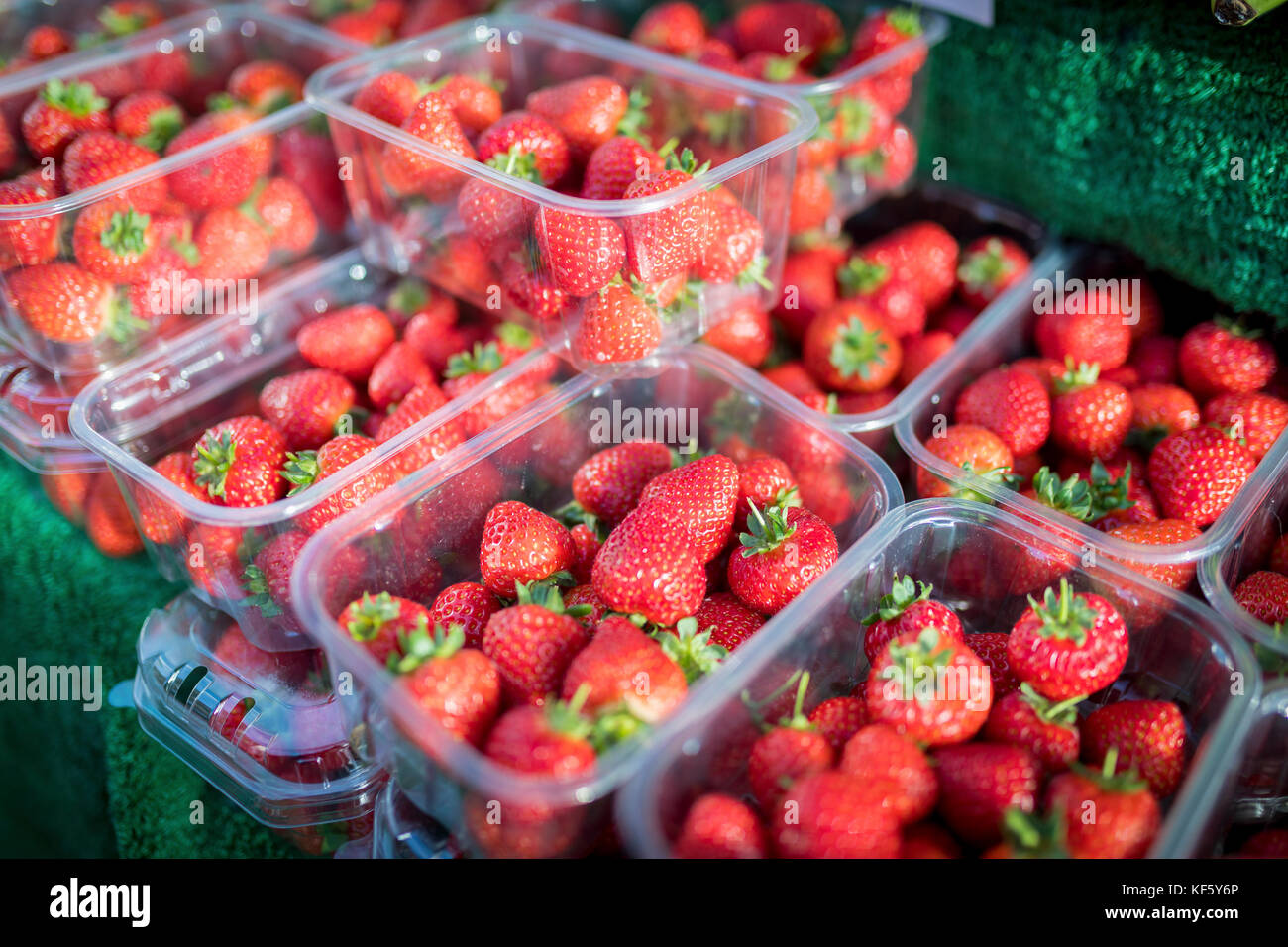 Close up of fresh and ripe English summer strawberries in punnets on a ...