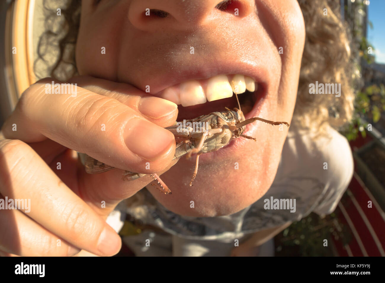 Eating Cockroach Stock Photos & Eating Cockroach Stock Images - Alamy