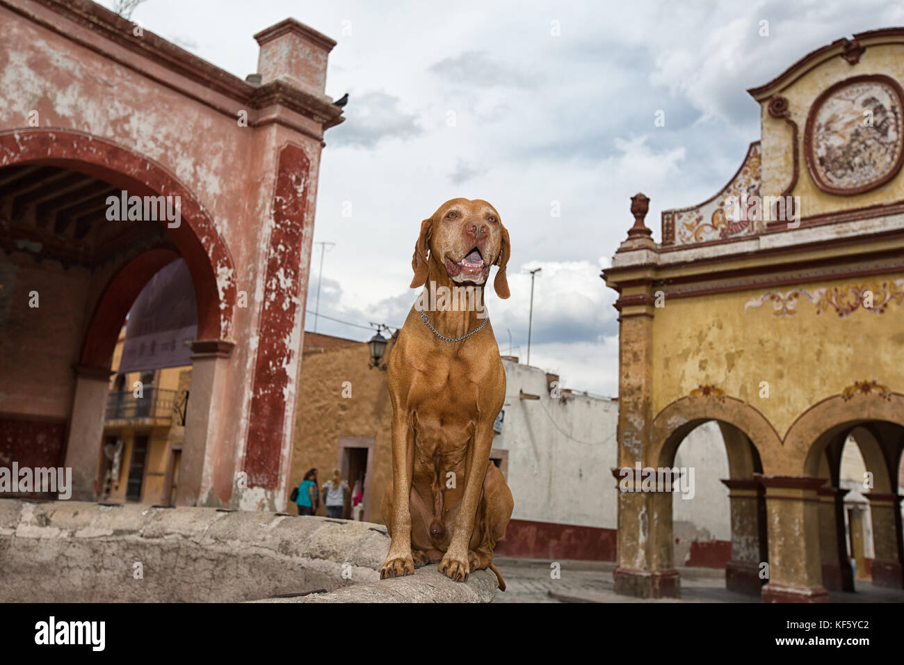 Colonial place hi-res stock photography and images - Alamy