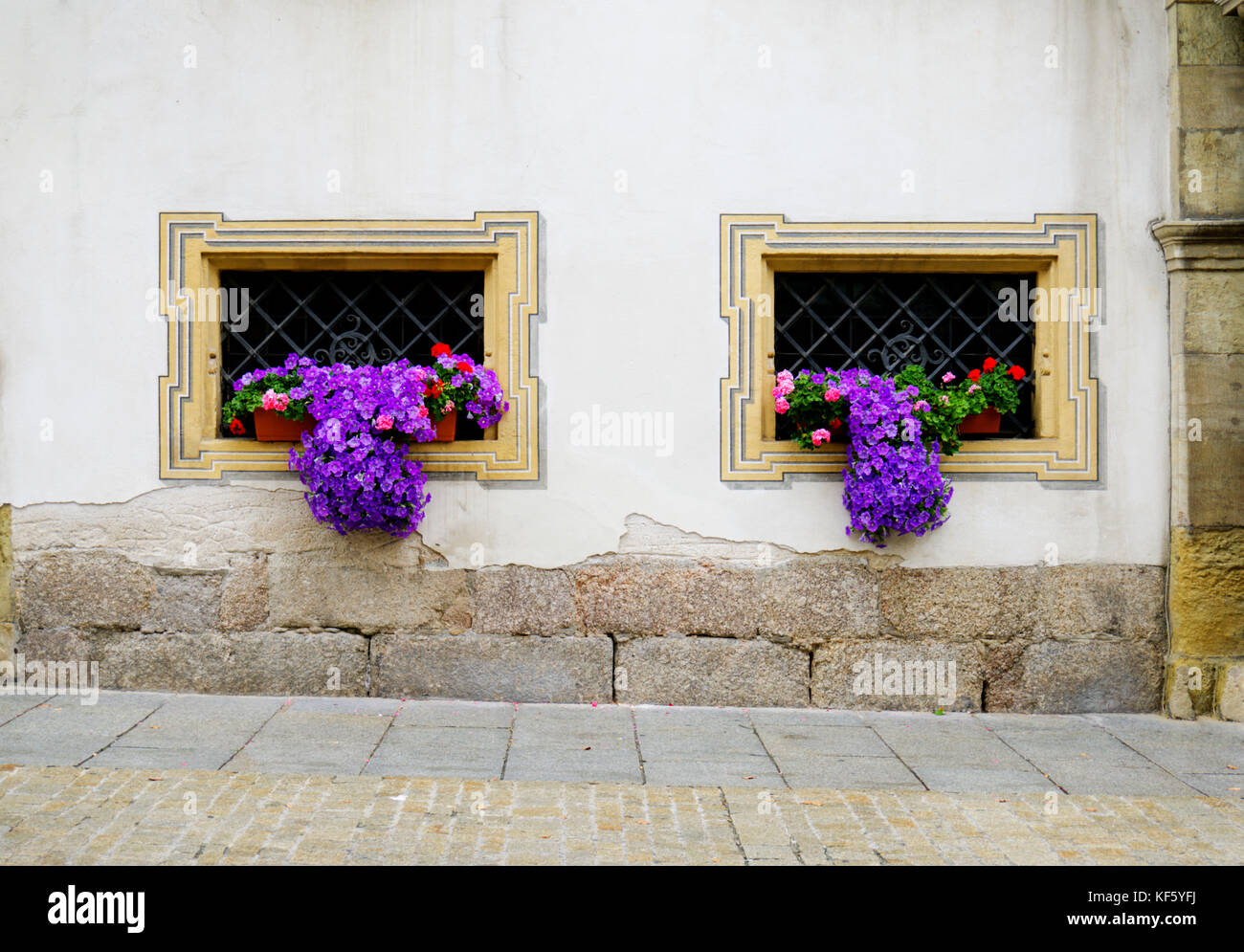 Flowers in window Stock Photo - Alamy