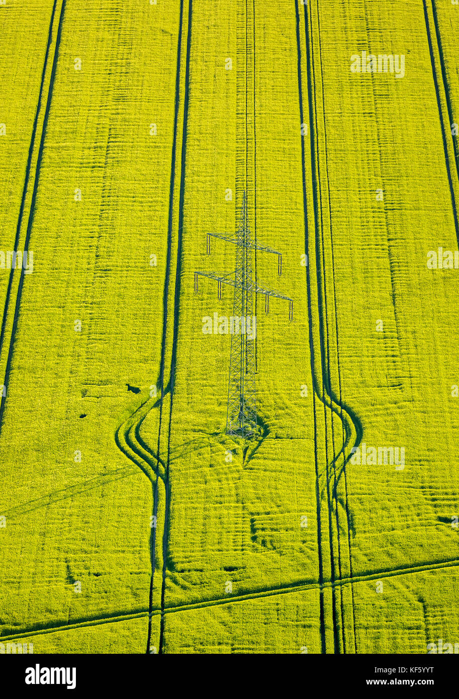 Rapeseed field germany hi-res stock photography and images - Alamy