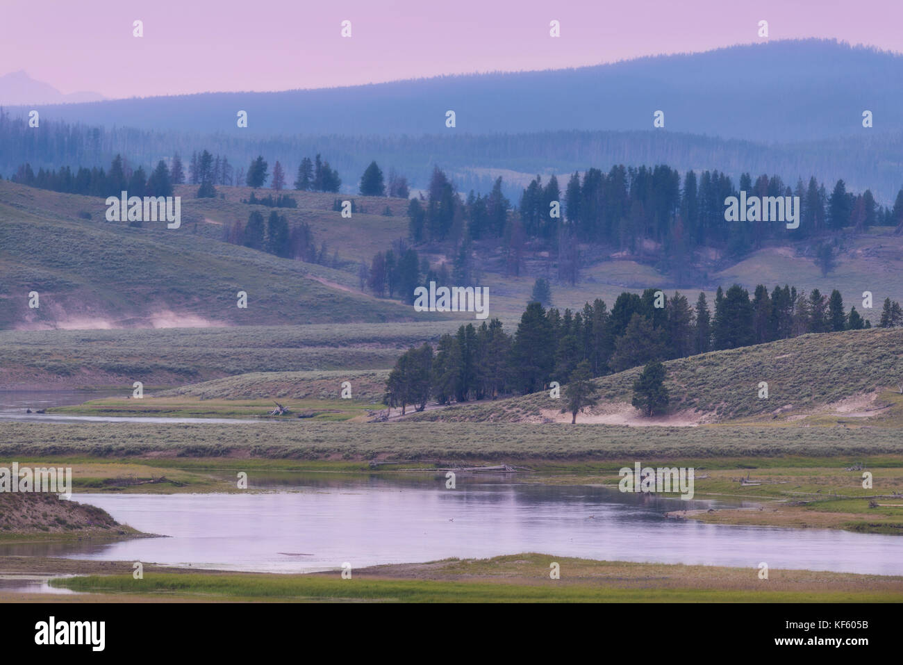 Hayden Valley in Yellowstone National Park, Wyoming Stock Photo - Alamy