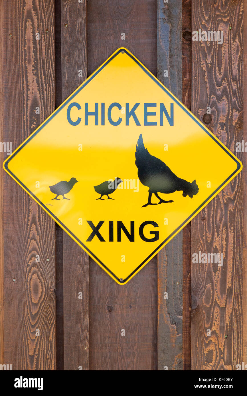 Chicken crossing warning sign in rural Alabama, USA Stock Photo - Alamy