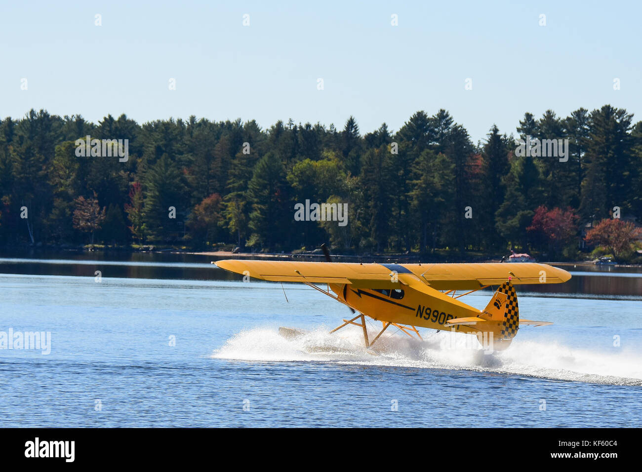 Bright yellow 2005 Cub Crafters float plane taking off on Lake Pleasant ...