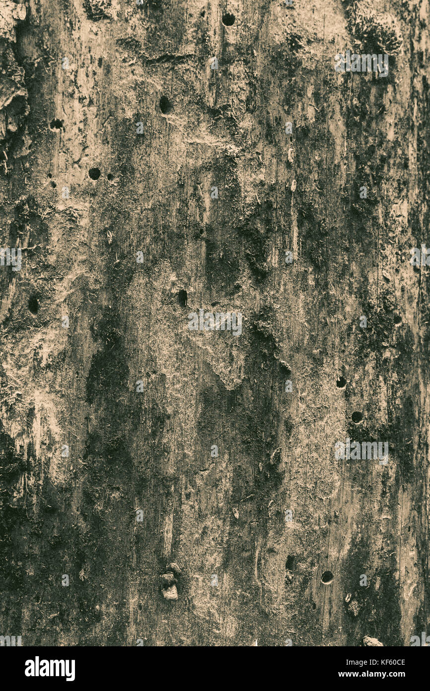 timber wood wall texture background Stock Photo - Alamy