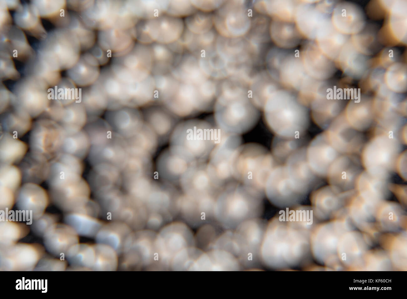 abstract blur brown background for wallpaper / backdrop Stock Photo - Alamy