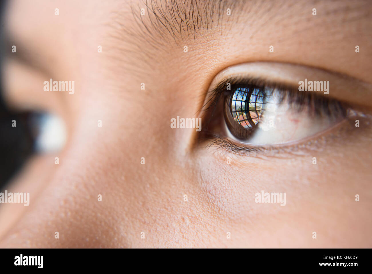 Eyebrow window detail hi-res stock photography and images - Alamy