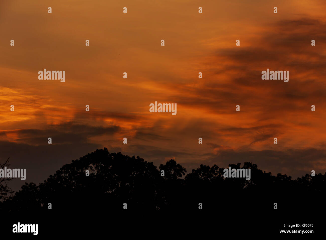 Dramatic sunset and sunrise sky. pink sky rising sun Stock Photo - Alamy