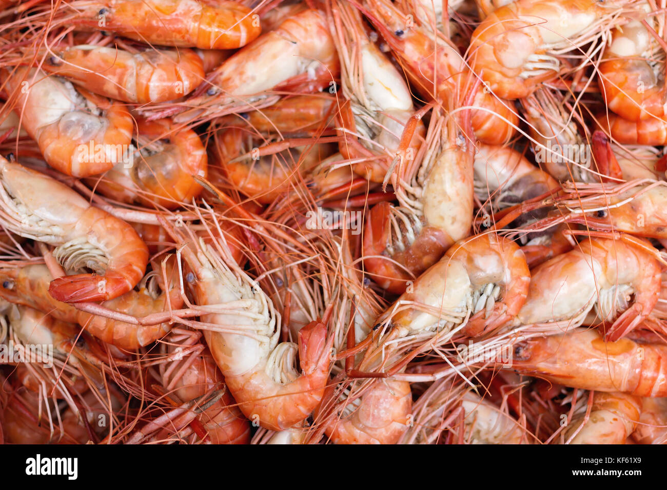 group of boiled giant freshwater prawn ready to eat at the fish market ...