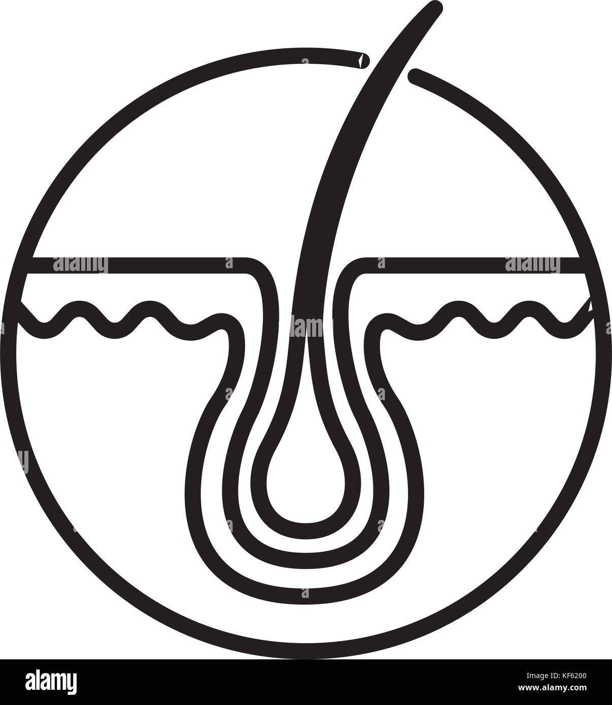 Linear section Stock Vector Images - Alamy