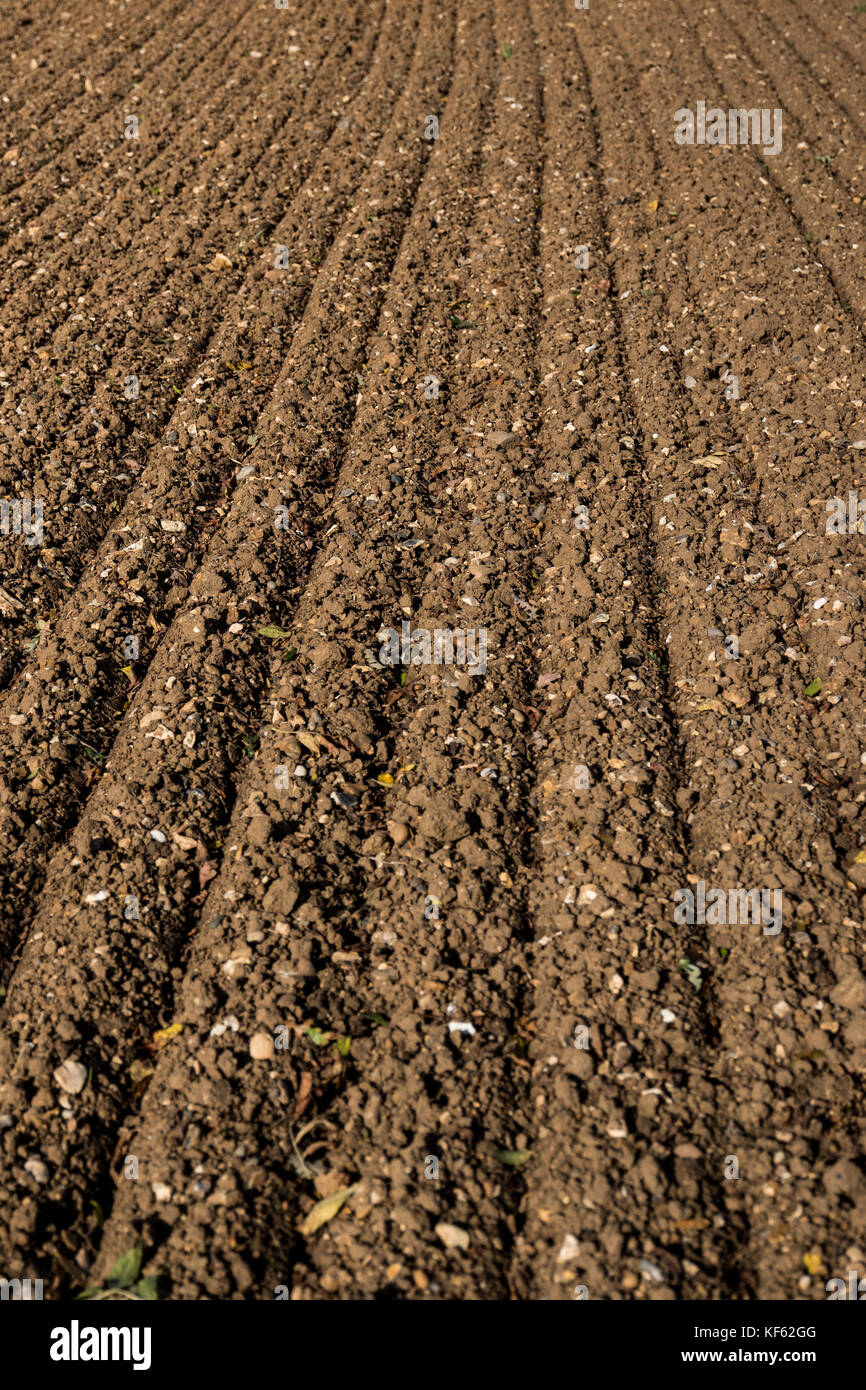 Feild patterns hi-res stock photography and images - Alamy