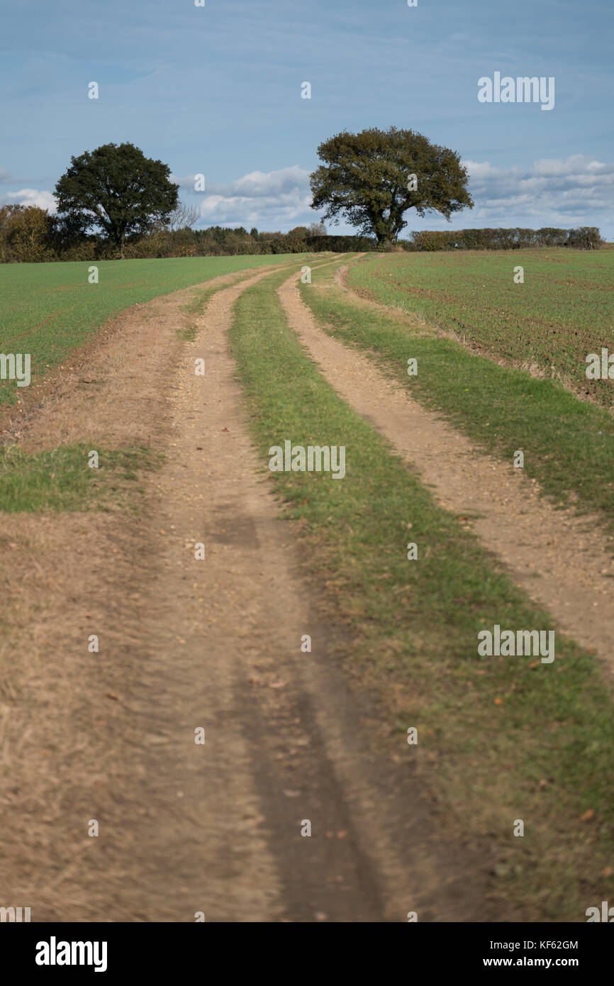 Track and hedgerow hi-res stock photography and images - Alamy