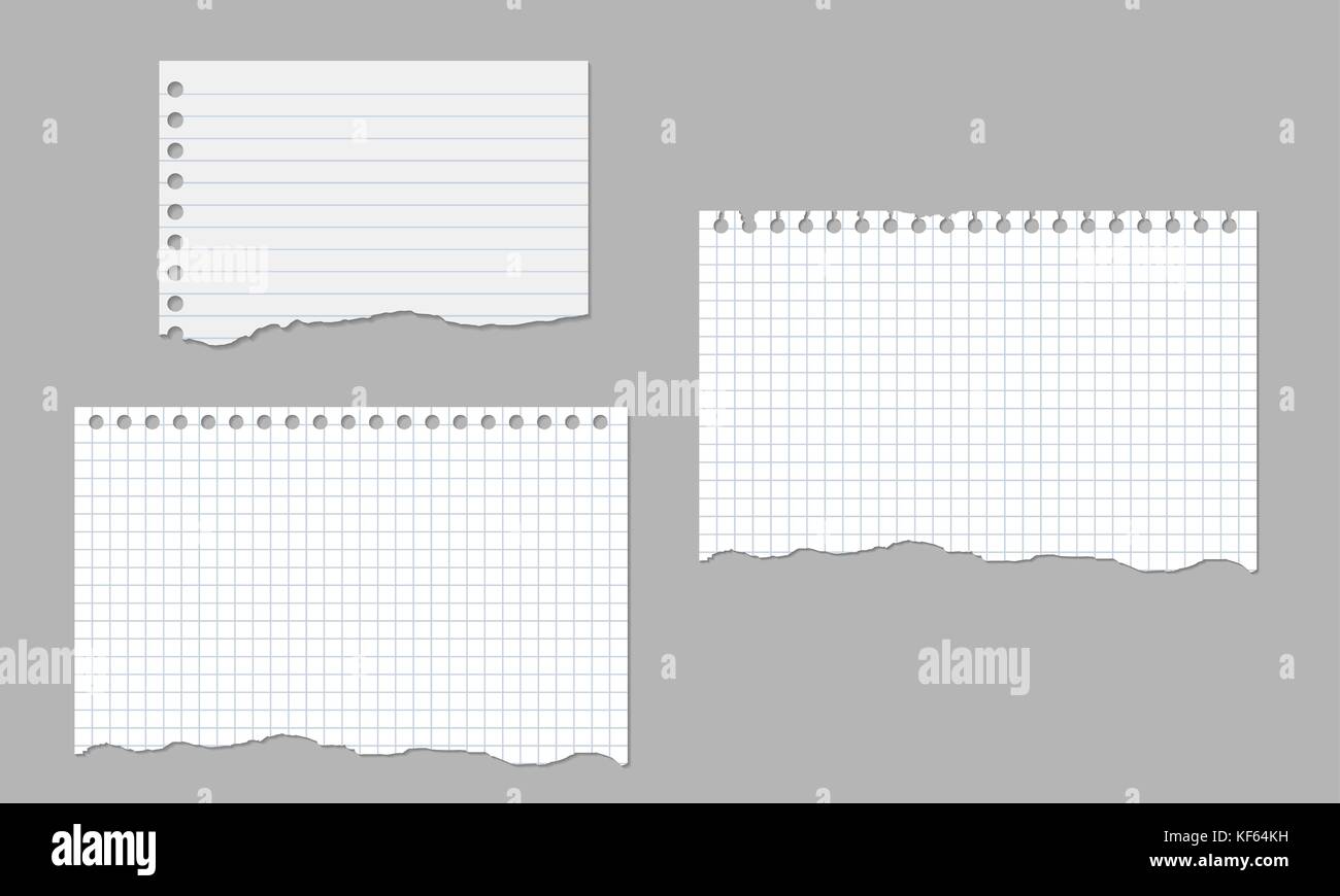 Set of realistic vector illustrations of torn sheets of lined and ...