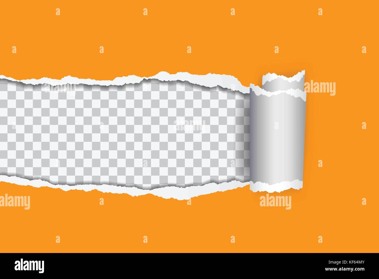 Vector realistic illustration of orange torn paper with rolled edge on ...