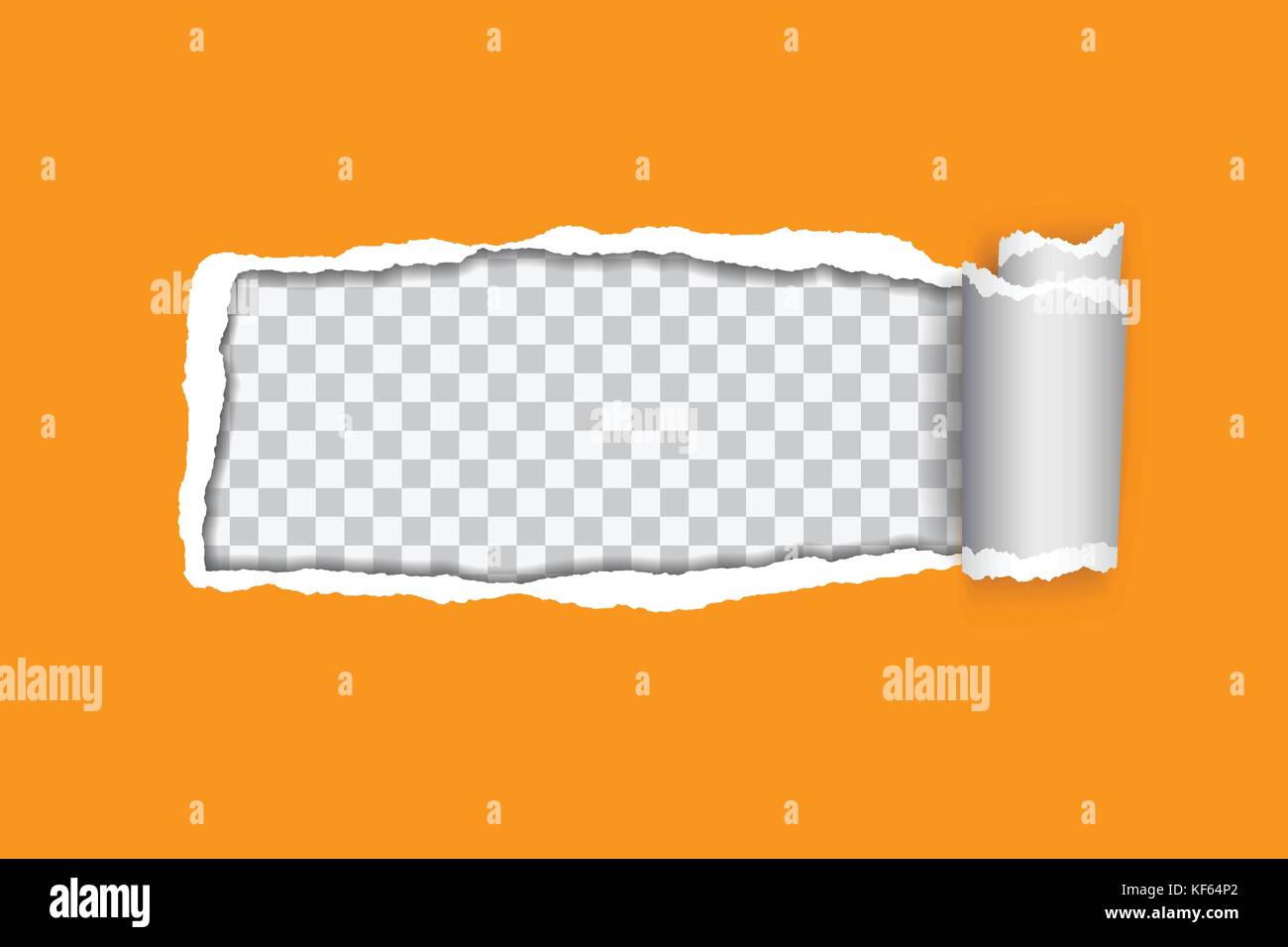 vector realistic illustration of orange torn paper with rolled edge on ...