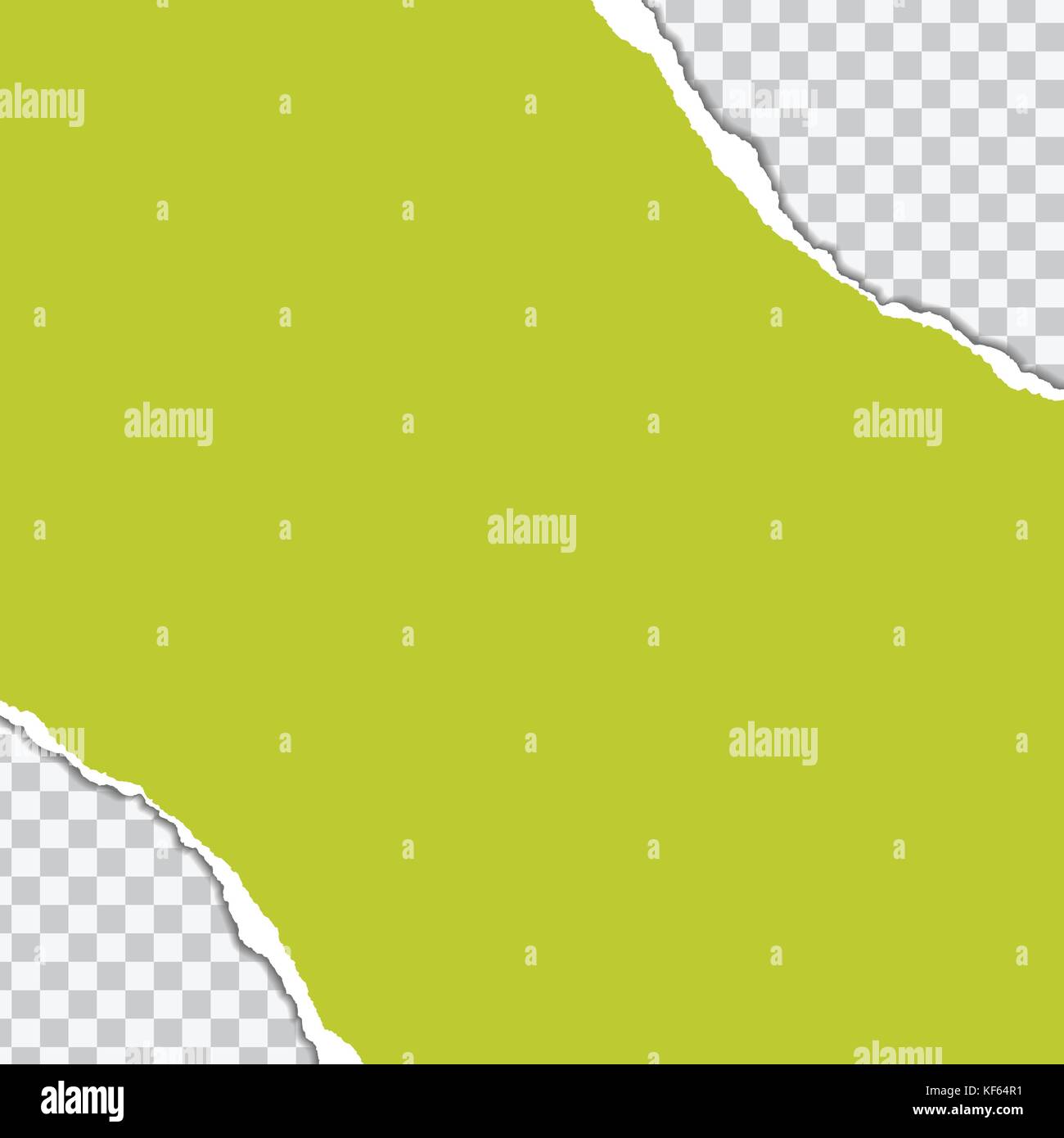 vector realistic illustration of green torn paper with shadow on ...