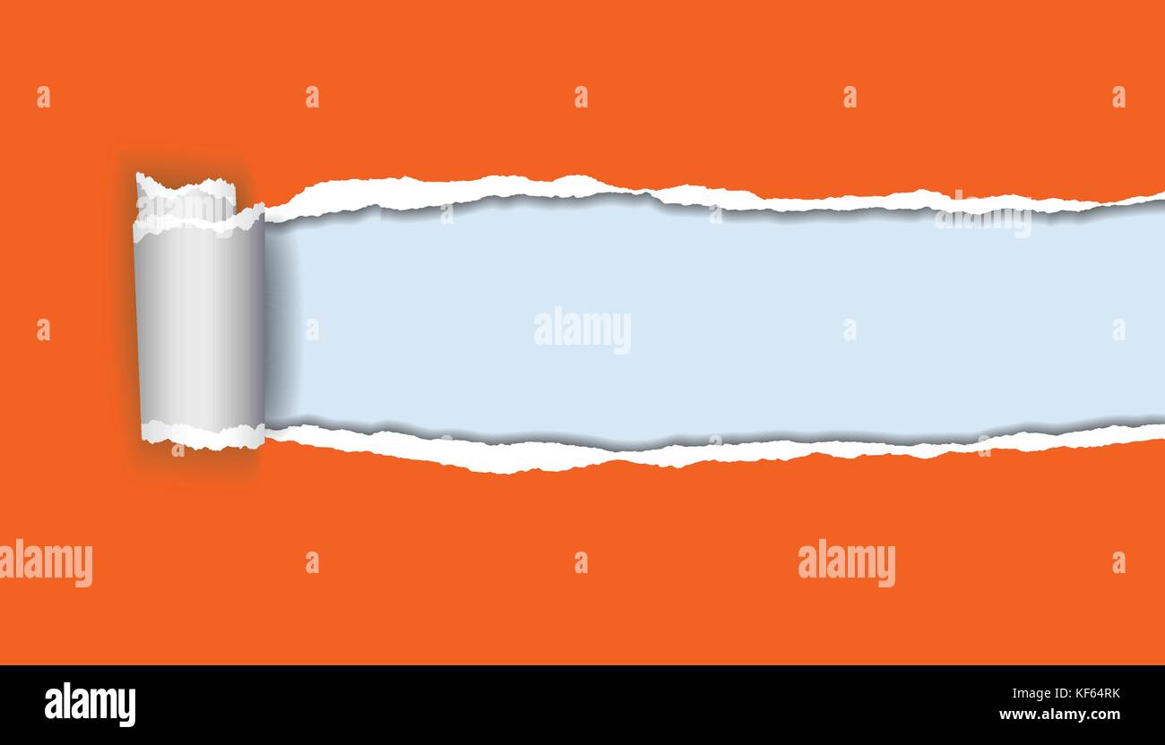 vector realistic illustration of orange torn paper with rolled edge on ...