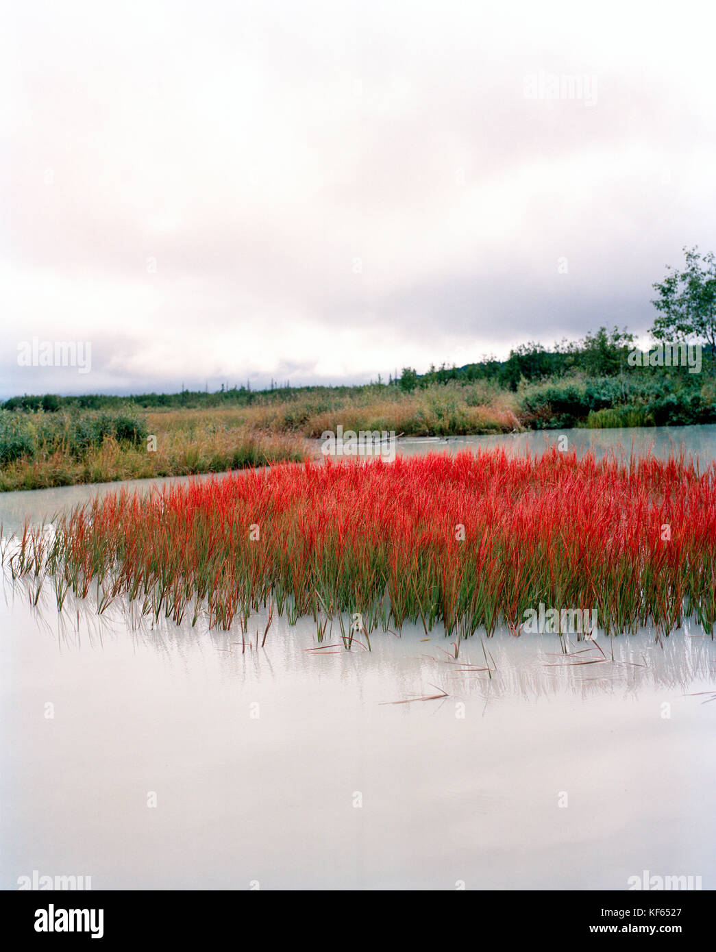 USA, Alaska, Redoubt Bay, landscape of Big River in Redouby Bay ...