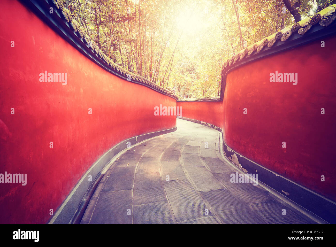 Curvy red walls passage surrounded by bamboo forest, color toning ...