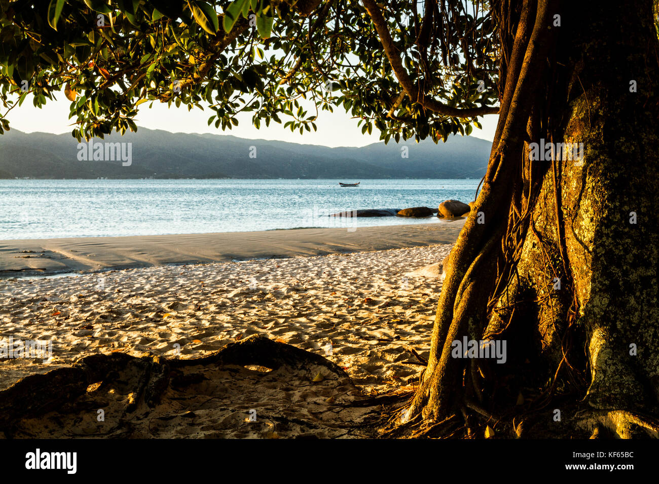 Daniela Beach at late afternoon. Florianopolis, Santa Catarina, Brazil ...
