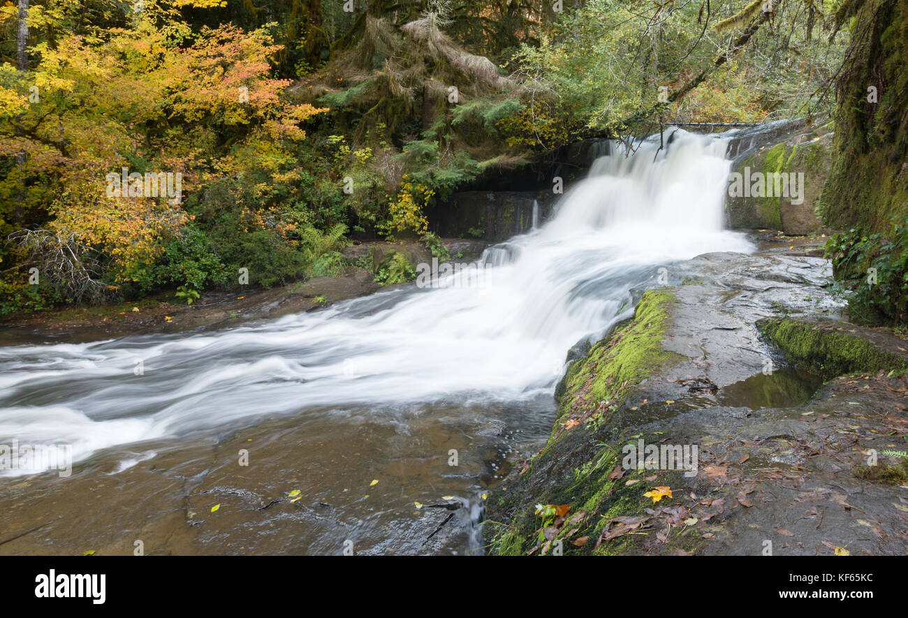 Alsea falls in the Oregon coast range between Eugene and Corvallis ...