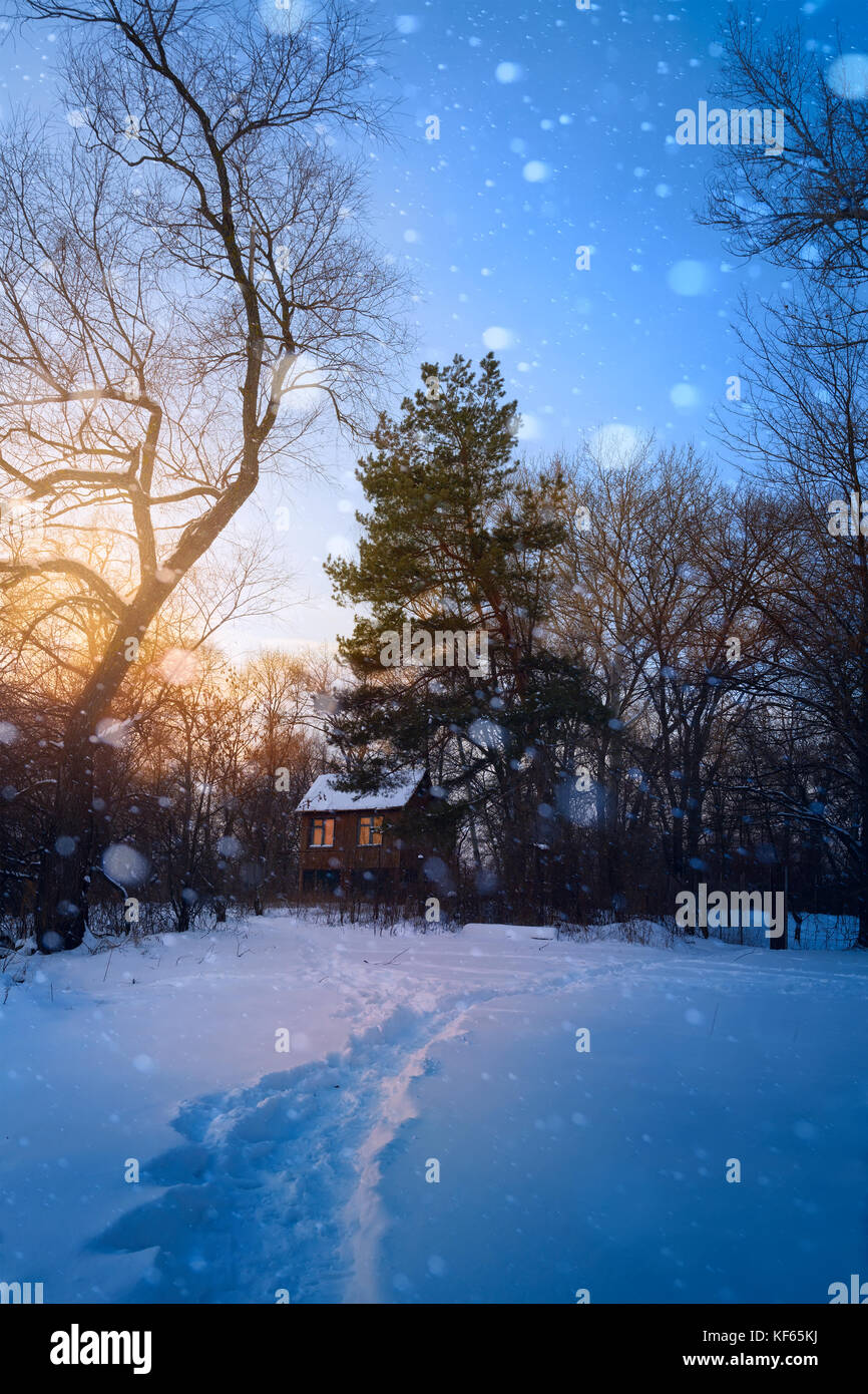 beautiful christmas landscape; winter countryside Stock Photo - Alamy