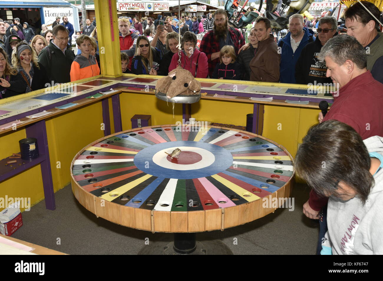 Alaska State Fair, Palmer, Alaska, USA, gambling, game, games, skill ...