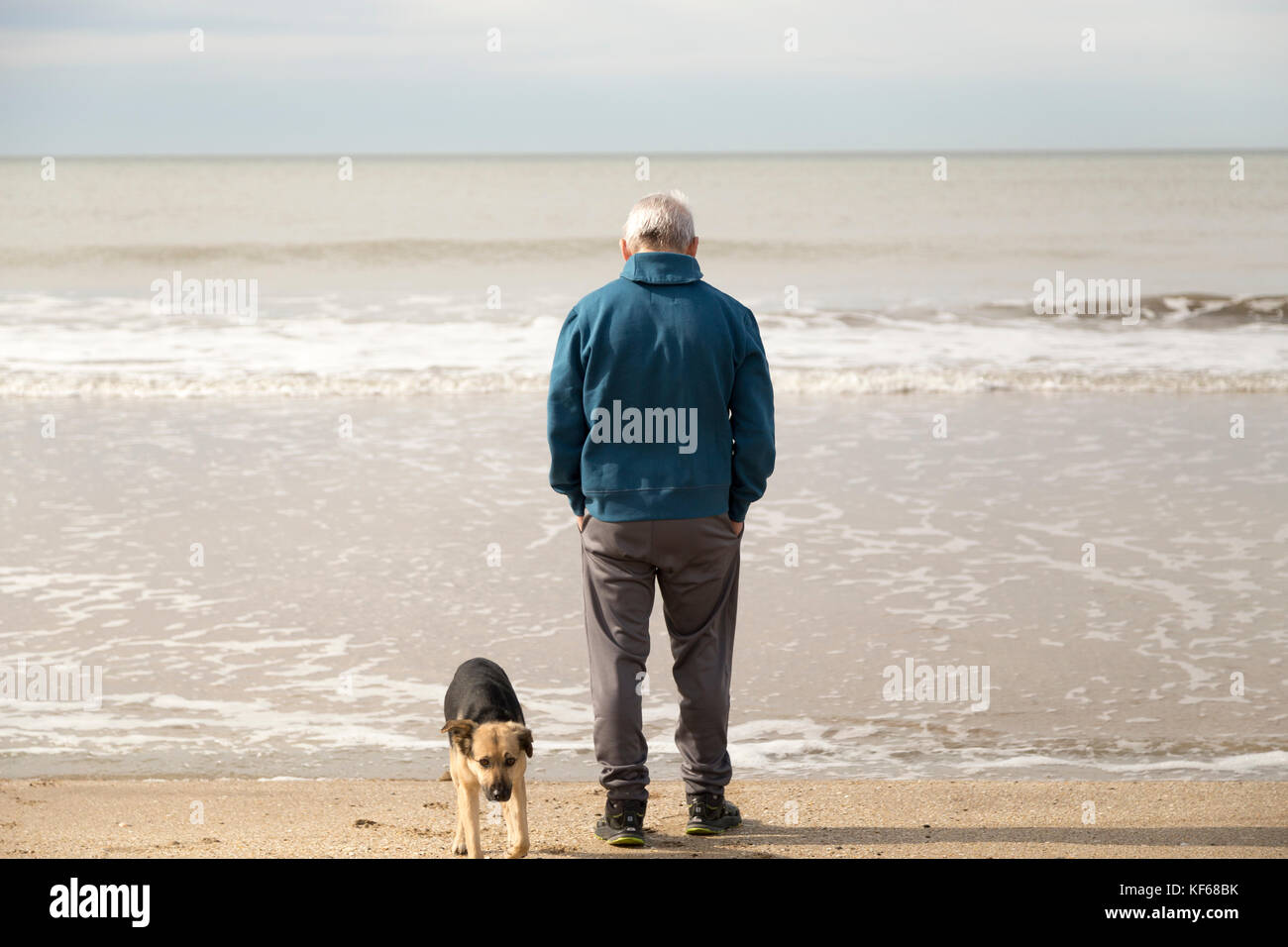 Old man dog walk water hi-res stock photography and images - Alamy
