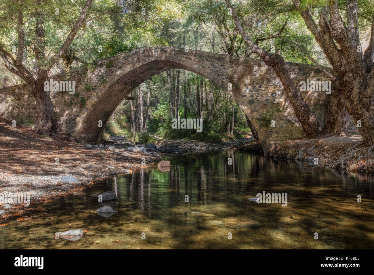 Paphos forest hi-res stock photography and images - Alamy
