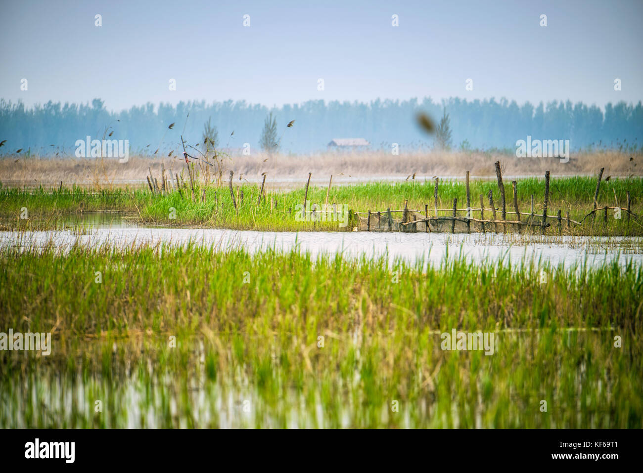 Baiyangdian Lake of Xiongan New District,Hebei Province,China Stock ...