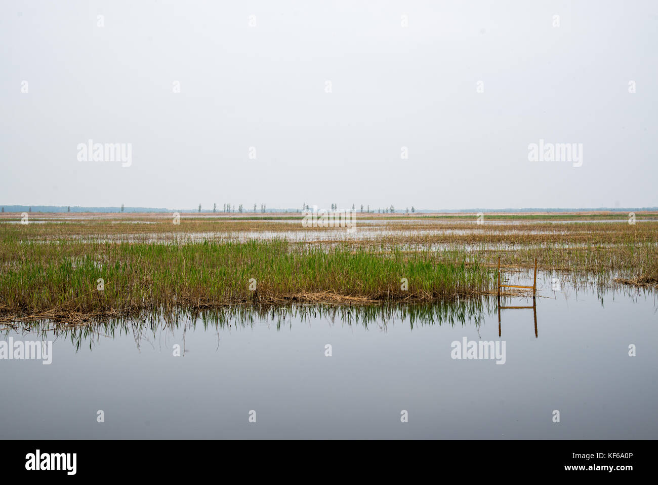 Baiyangdian Lake of Xiongan New Area,Hebei Province,China Stock Photo ...