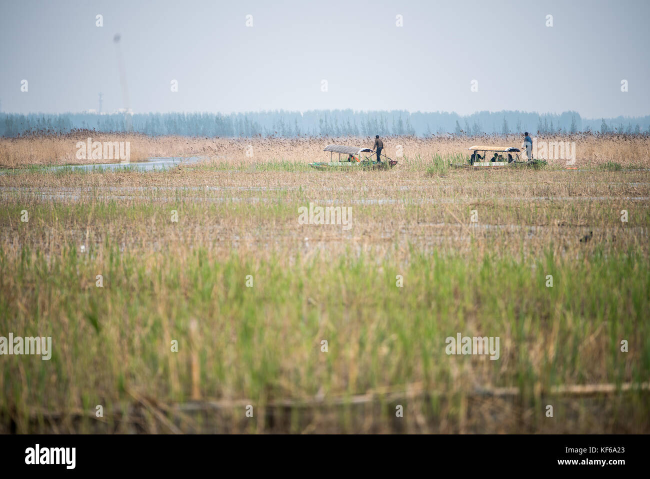 Baiyangdian Lake of Xiongan New Area,Hebei Province,China Stock Photo ...