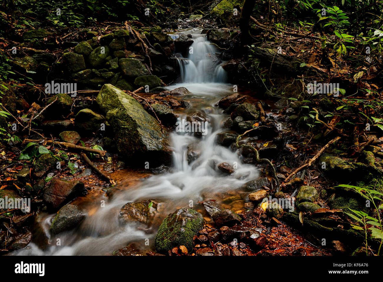 Forest photography background. Beautiful waterfall stream landscape ...