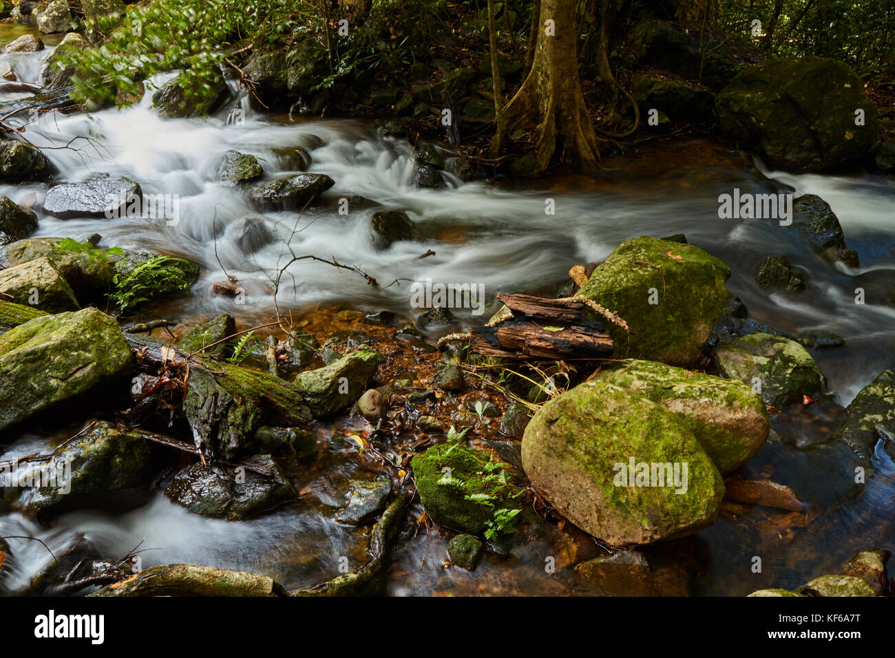 Forest photography background. Beautiful waterfall stream landscape ...