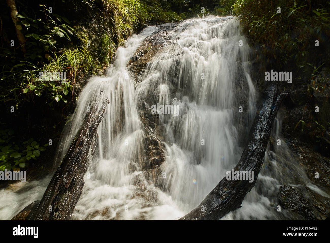 Forest photography background. Beautiful waterfall stream landscape ...