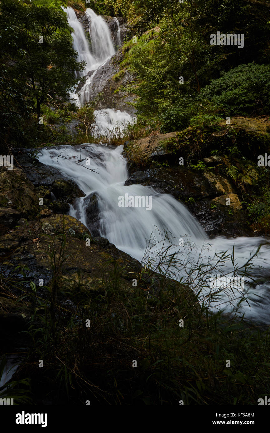 Forest photography background. Beautiful waterfall stream landscape ...