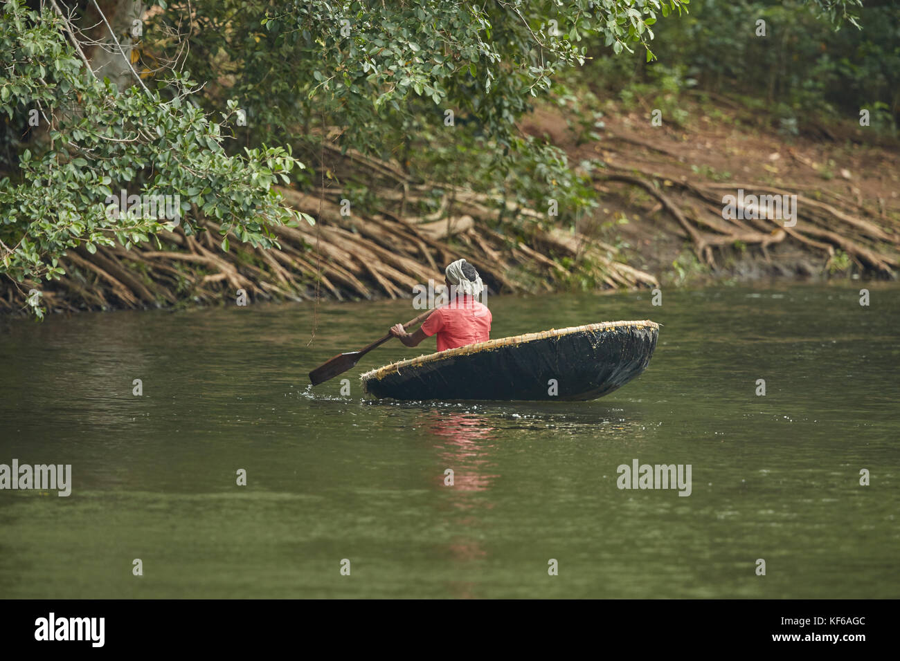 transportation in a Rustic round coracle floating basket boat made of ...