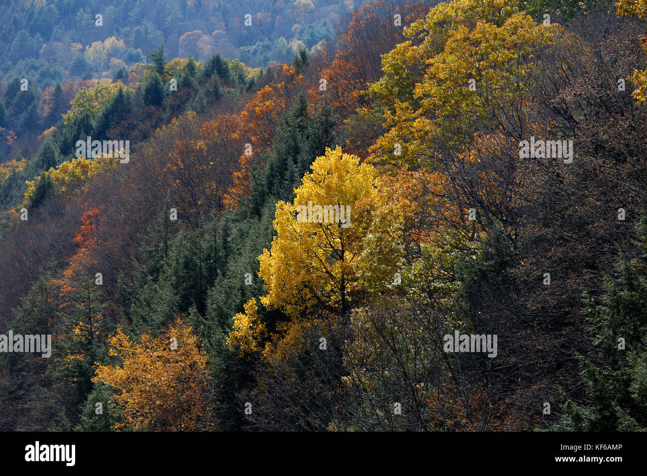 Fall autumn foliage, Quechee Gorge, Vermont Stock Photo - Alamy