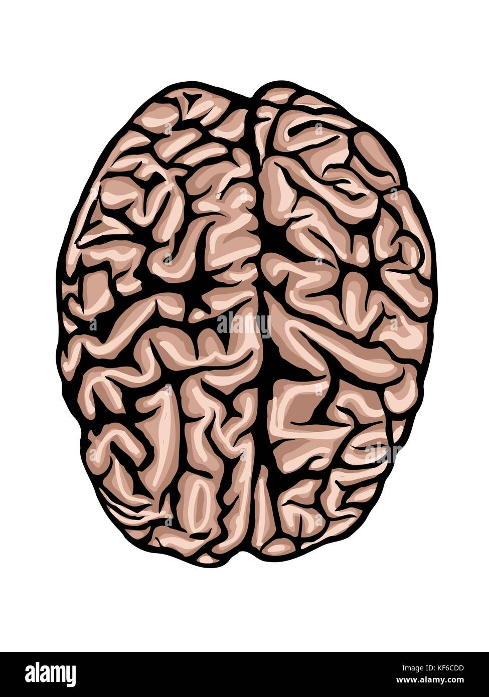 Hand-drawn colored brain. Color sketch of the brain. Colored hand drawn ...