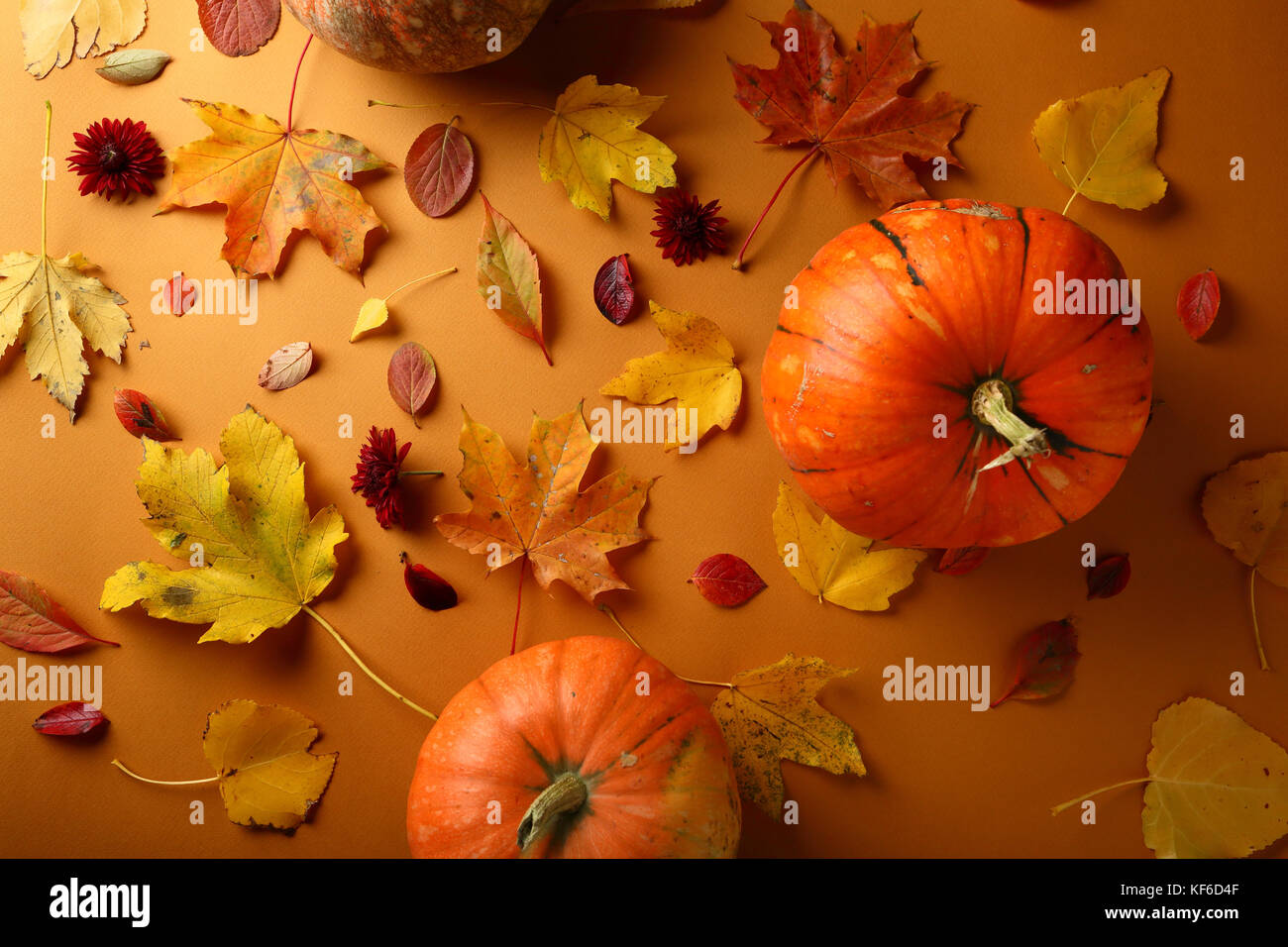 fall leaves and pumpkins background Stock Photo - Alamy
