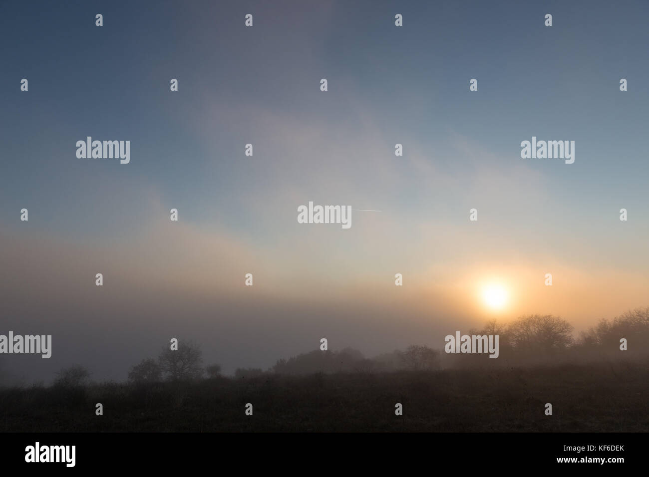 Sun filtered through trees hi-res stock photography and images - Alamy