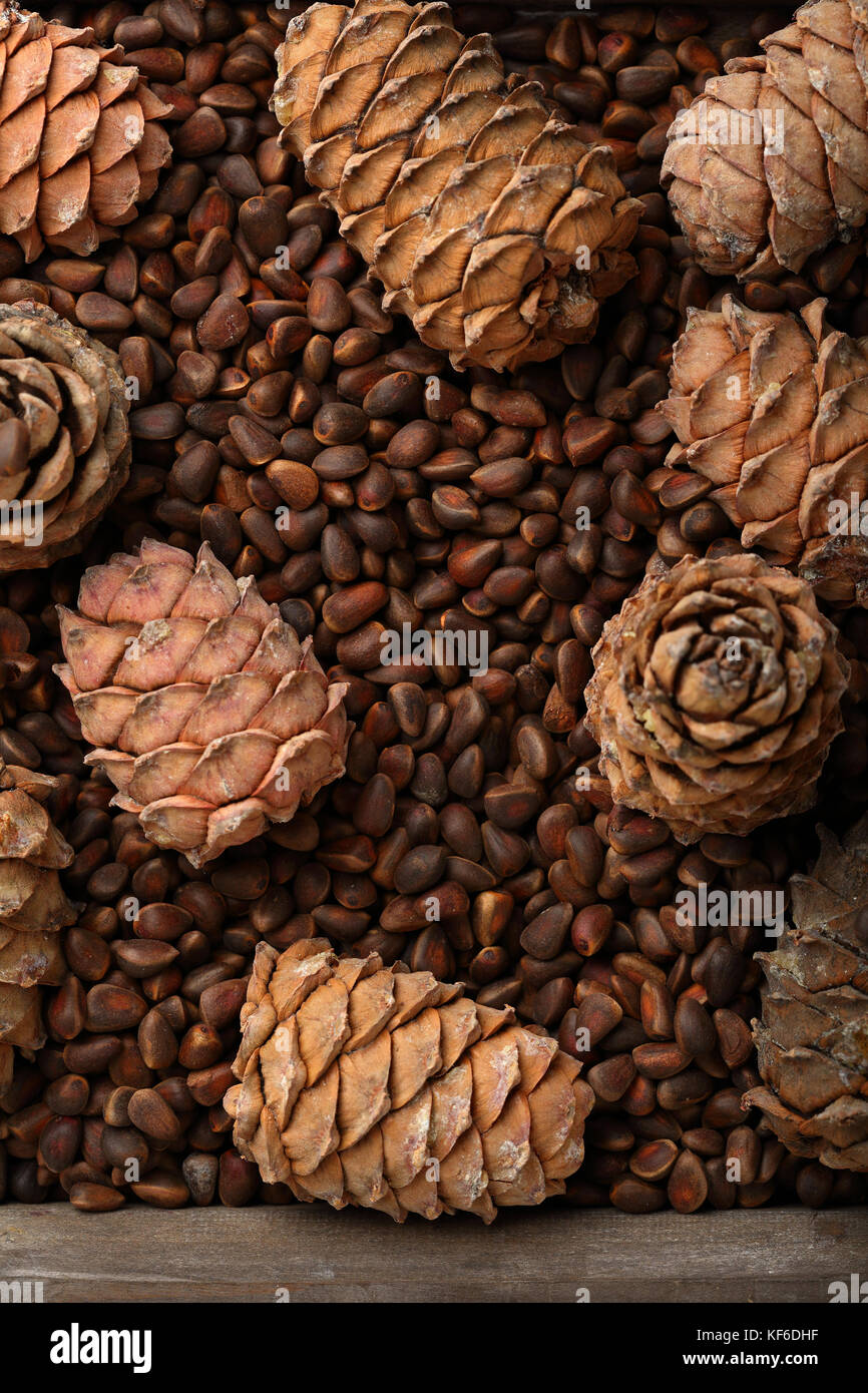 Pine nuts and pine cones, food healthy Stock Photo - Alamy