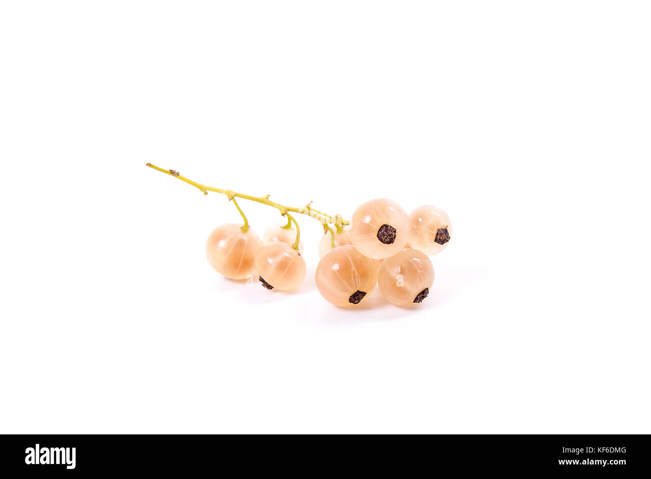 Close up view of white currant berry isolated on white background Stock ...