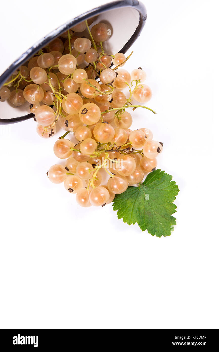 Close up view of white cup with white currant berry isolated on white ...