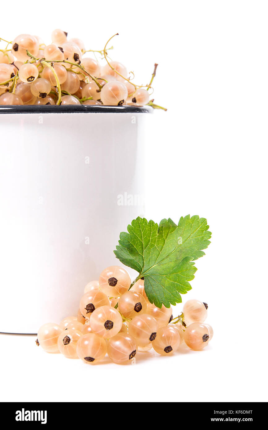 Close up view of white cup with white currant berry isolated on white ...