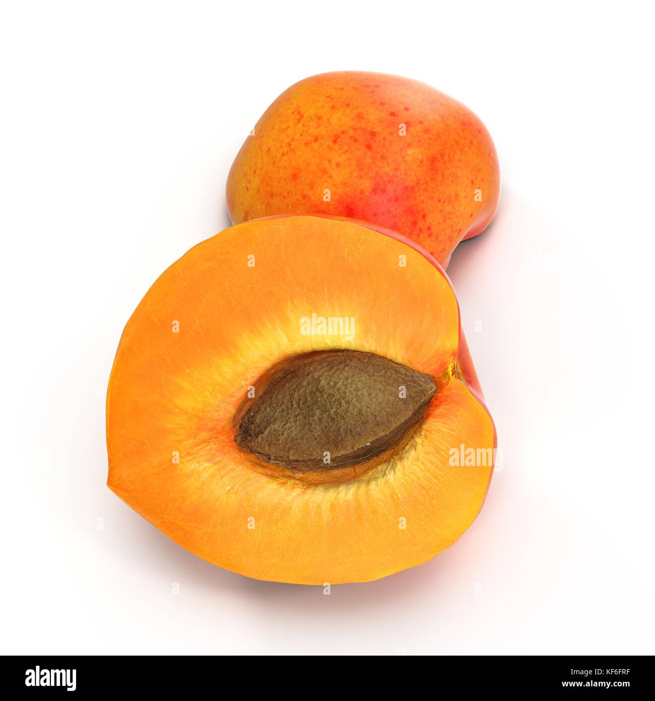 Ripe apricot's cross section with seed on white 3D Illustration Stock ...