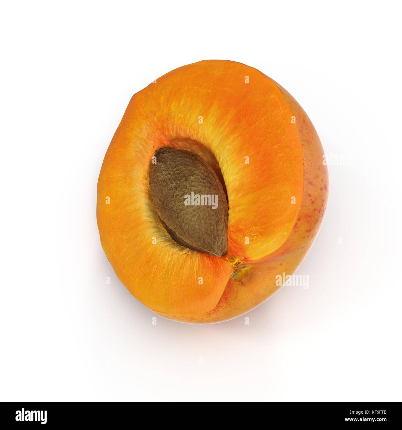 Ripe apricot's cross section with seed on white 3D Illustration Stock ...